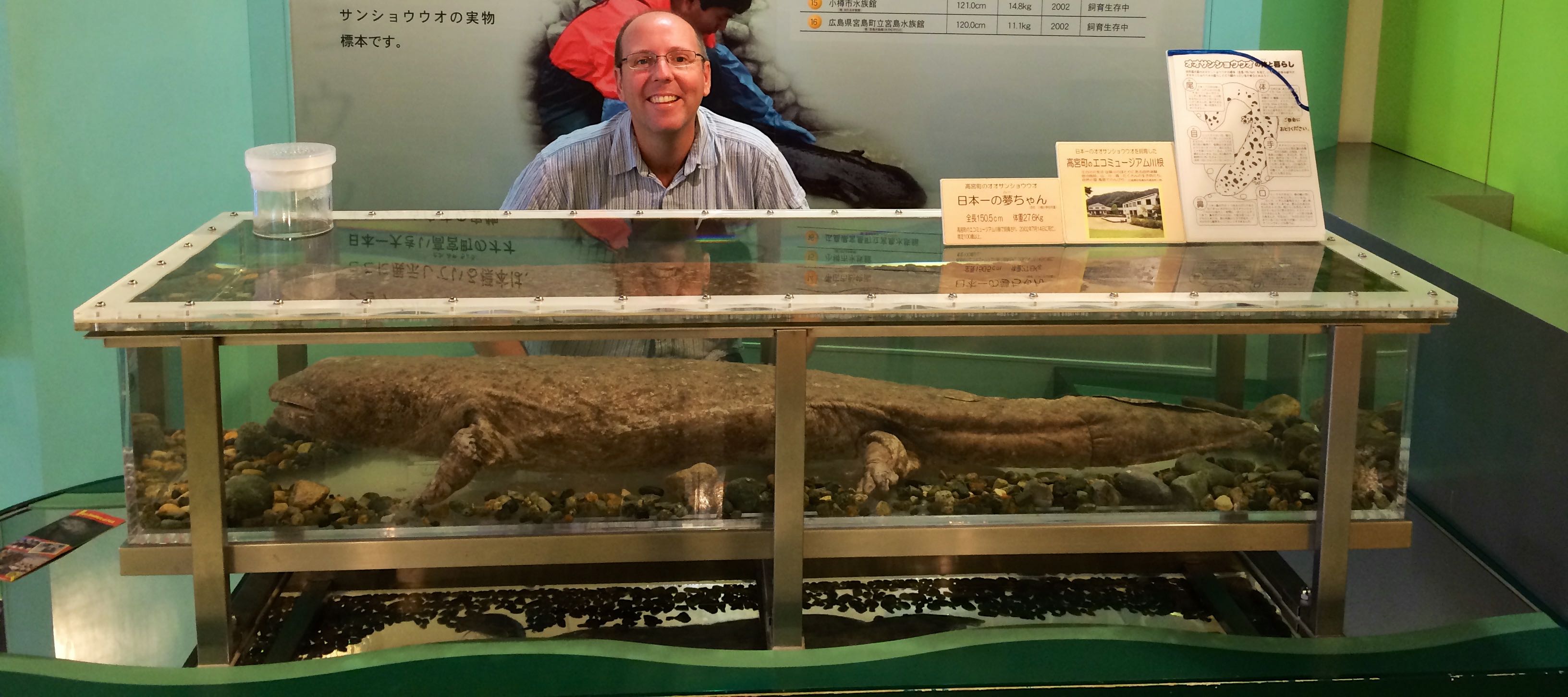 The Hiroshima Hanzaki | The Wildlife Lab