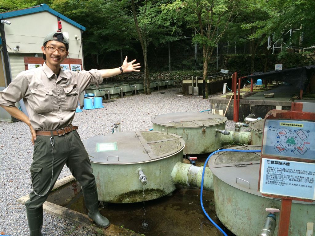 The Hiroshima Hanzaki | The Wildlife Lab